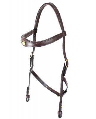 Baroque hackamore - Markus Holst