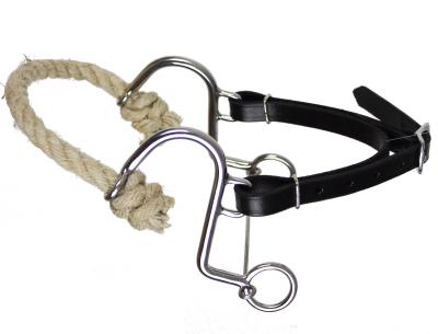 Baroque hackamore - Markus Holst