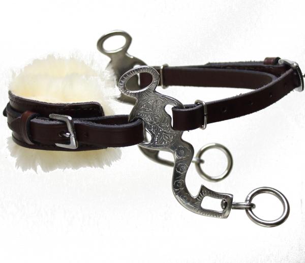 Baroque hackamore - Markus Holst